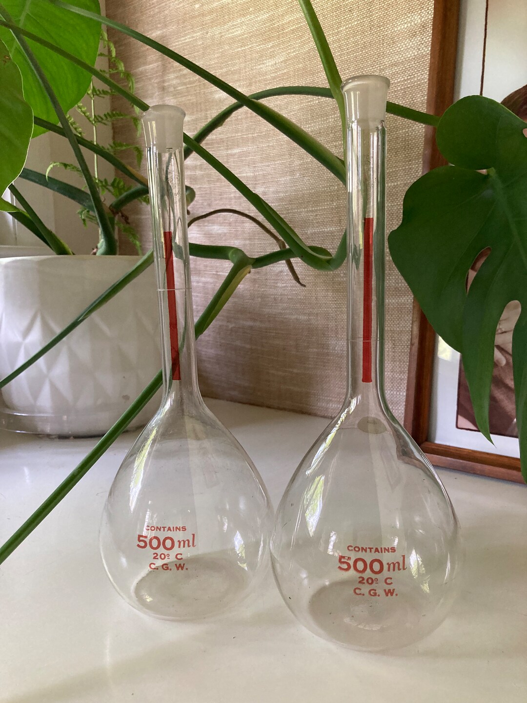 Variety of Sizes-mid-century Chemistry Beakers/flasks/vases - Etsy