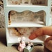 Miniature Mouse House Dollhouse Mouse Furniture Dolhouse for - Etsy