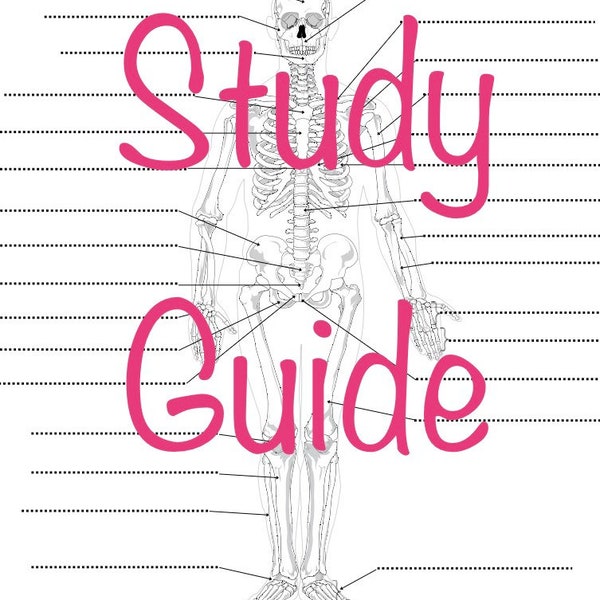 Cna Coloring Page - Etsy