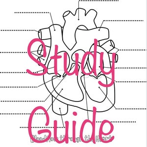 Anatomy of the Heart Coloring Pages **with Fill-in and Answer Key ...
