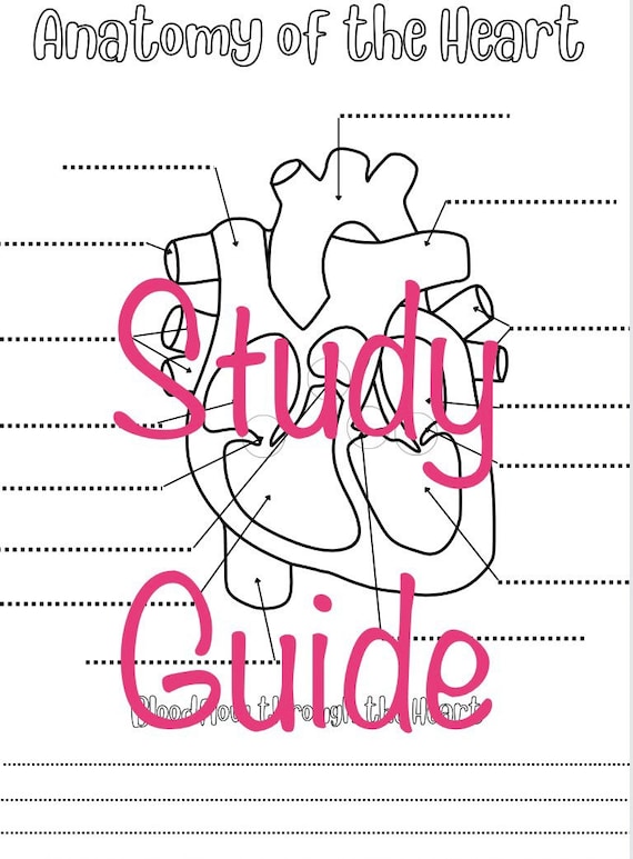 Anatomy Of The Heart Coloring Pages With Fill In And Answer Etsy Australia