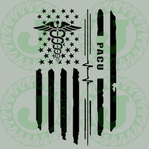 PACU, Monitor Tech, Telemetry Tech, and Progressive Care American ...