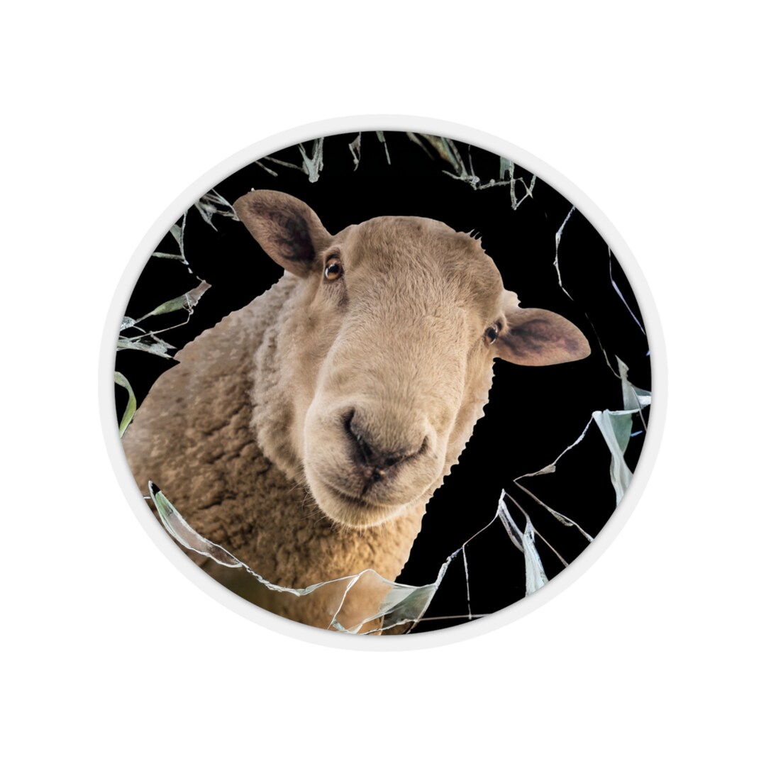Broken Window Lamb Sticker - Etsy