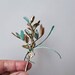 Mastic Tree Sculpture Real Mastic Tree Branch Electroplated - Etsy