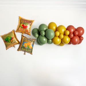 Farmers Market Party Decor, Locally Grown Baby Shower, Balloon Party ...