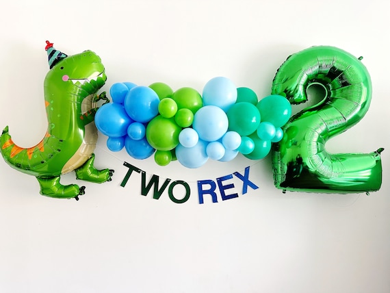 Two Rex Birthday Party | Dinosaur Balloons | Second Birthday Party ...