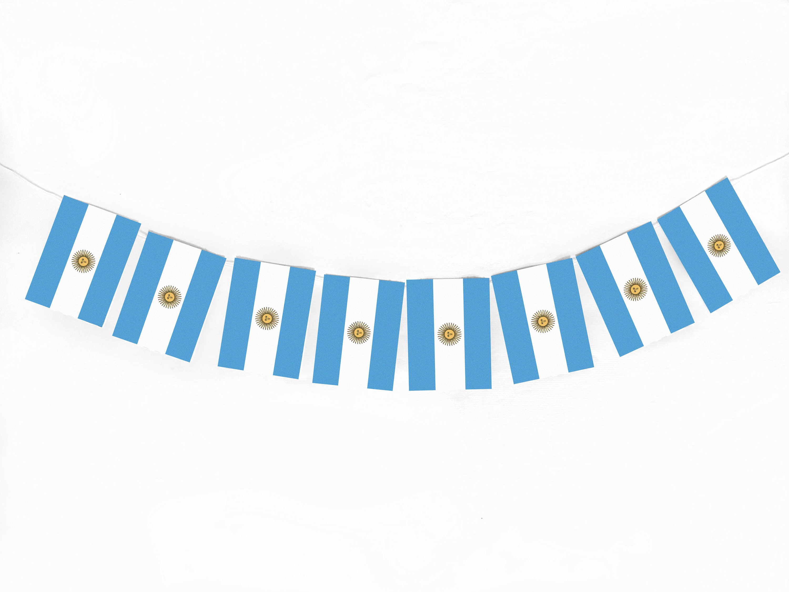 Argentina Flag Banner Argentine Flag Banner Team Argentina - Etsy