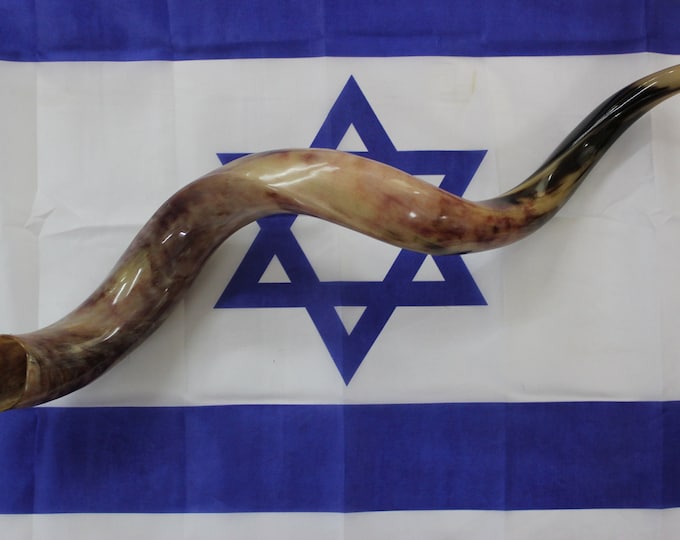 Shofar 36'' Full Polished Kosher Yemenite Kudu Horn Shofar Best Sound ...