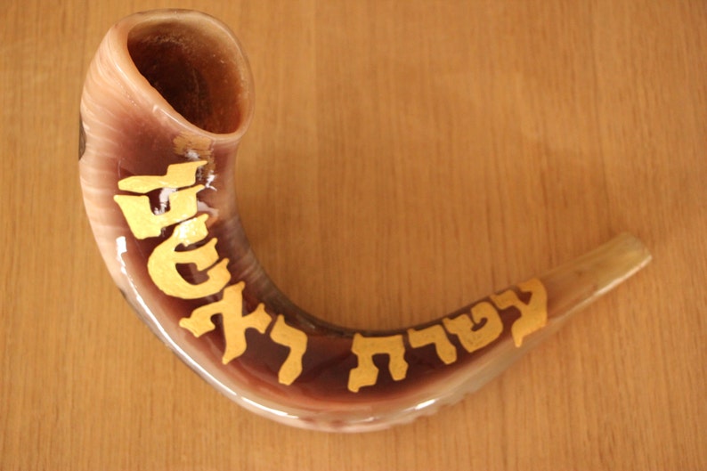 14 "-16" Ram Horn Shofar.Pintado a mano. Es único. Harav Ovadia Yosef ...