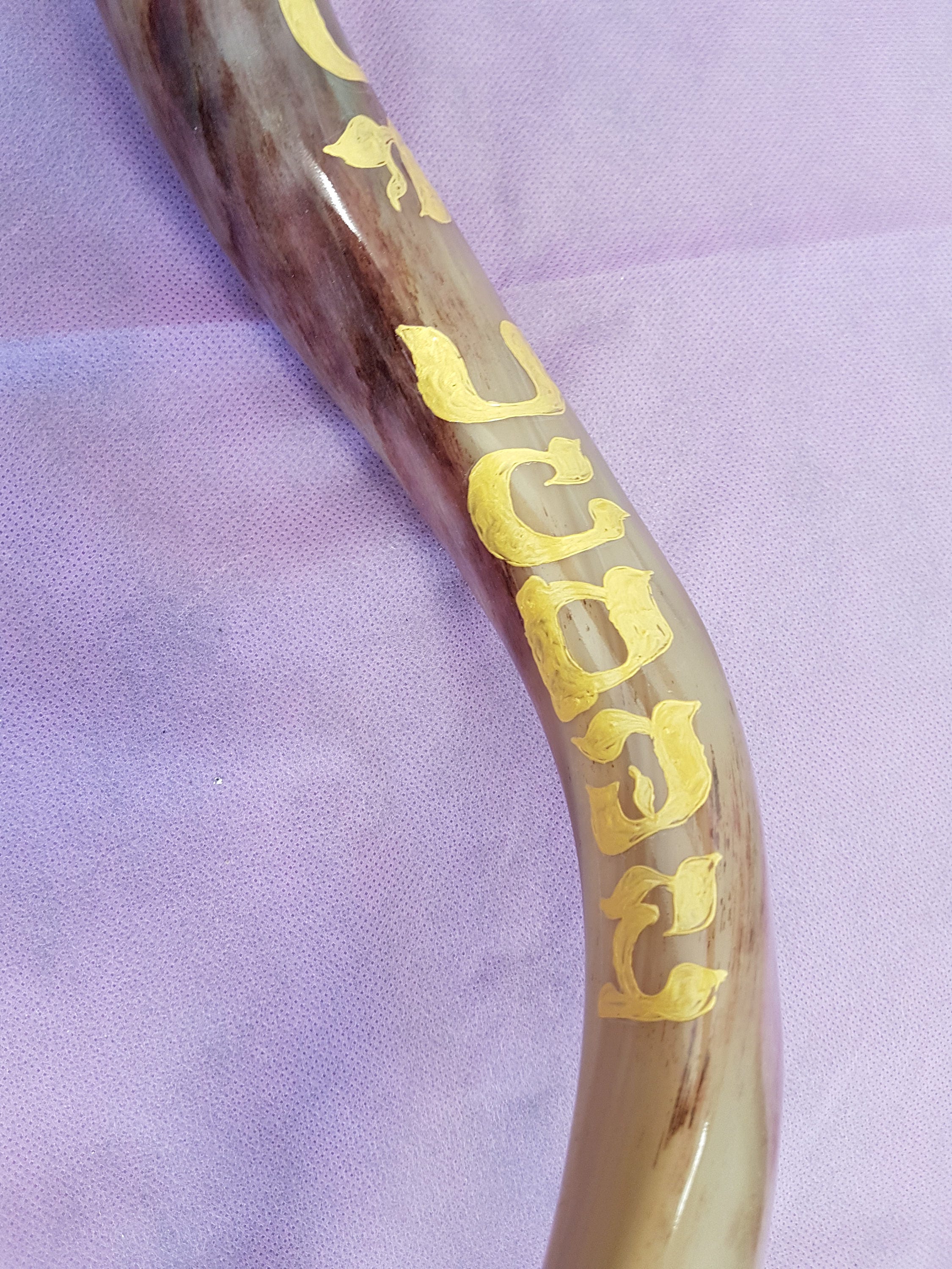 Art Shofar lion of Judah - Etsy