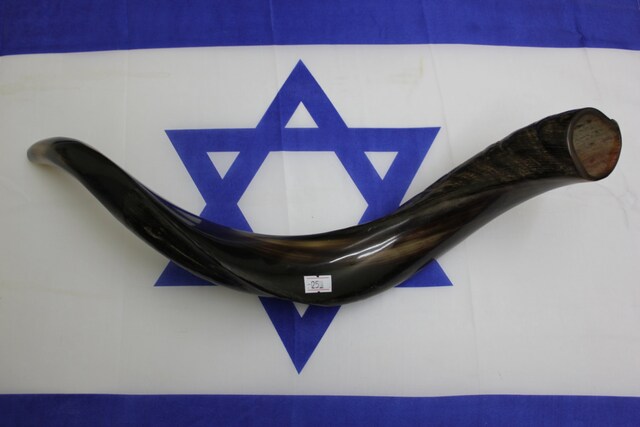 Shofars - Etsy