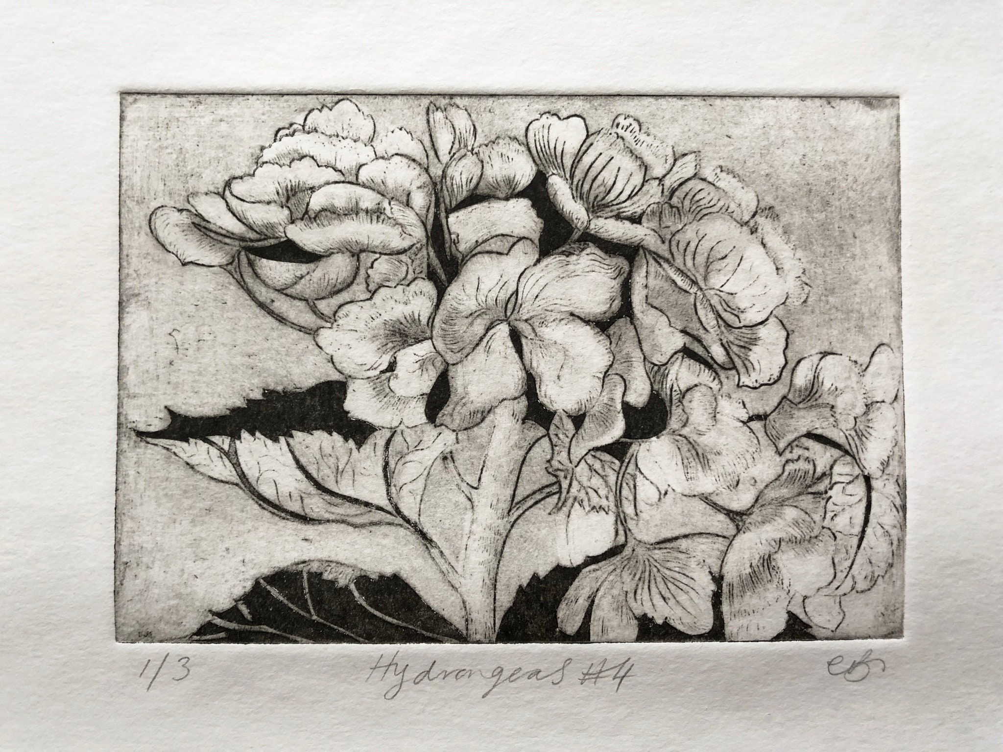 Shop — Emma Bond Illustration