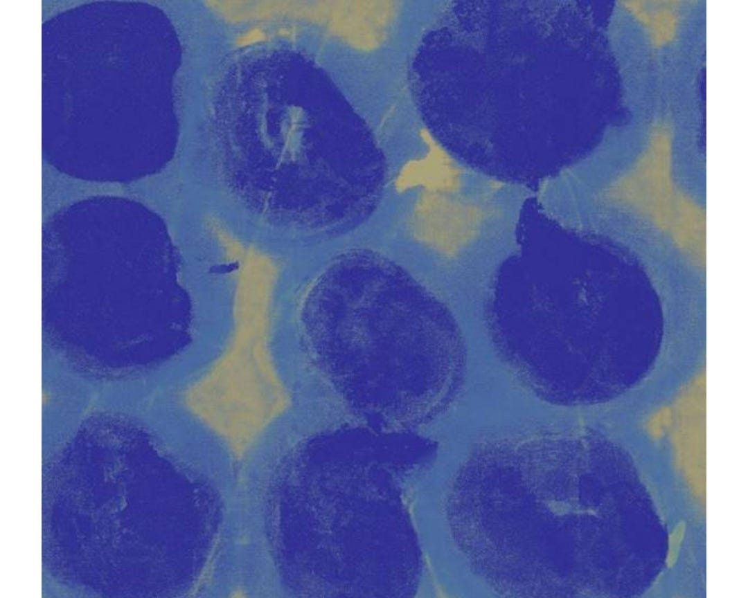 Blue Quilt Fabric, Quilt Fabric by Windham Fabrics, Boho Quilting ...