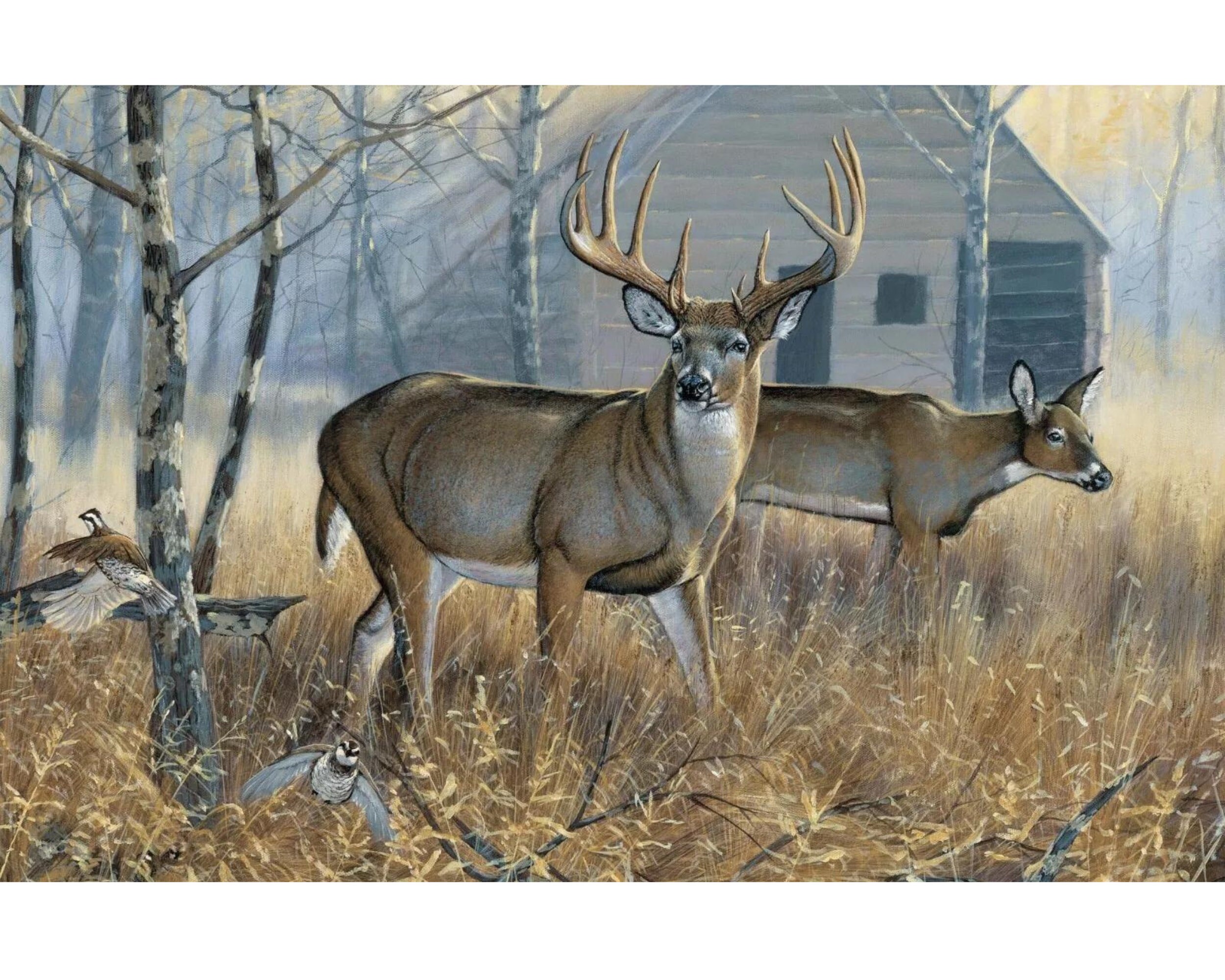 Northcott Whitetail Woods Fabric Panel, Quilt Panel, DP24885 - Etsy