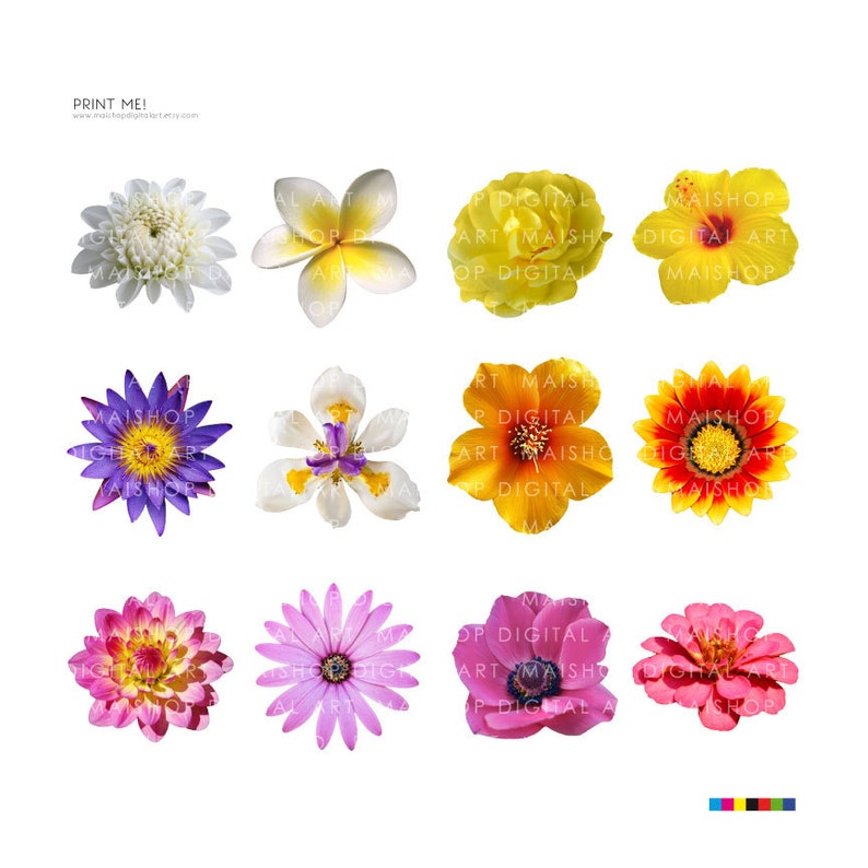 Flowers Clipart Printable Digital Collage Sheet for Stickers ...