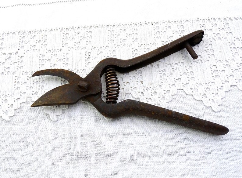 Antique French Iron Gardening Secateurs With Spring, Vintage Old Style ...