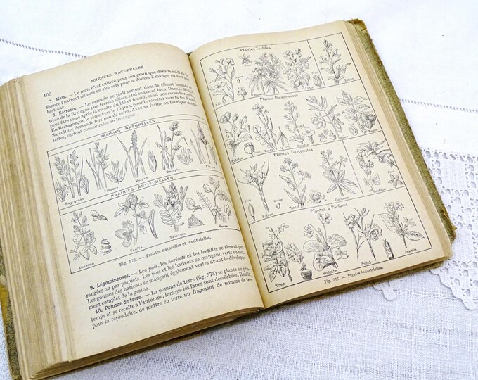 Antique French School Naturel Science Hardback Book With Numerous ...