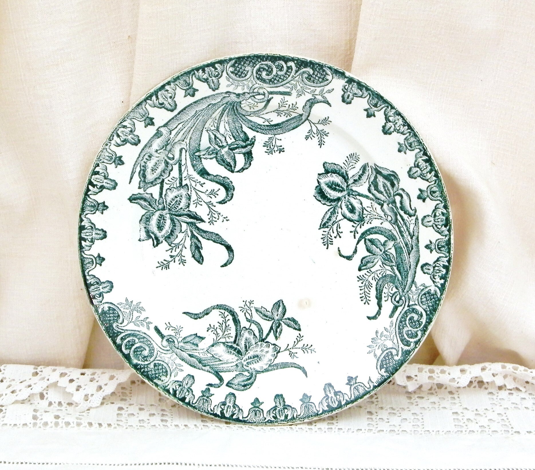 Small Antique Ironstone Ceramic Plate with Iris Flower Pattern by St ...