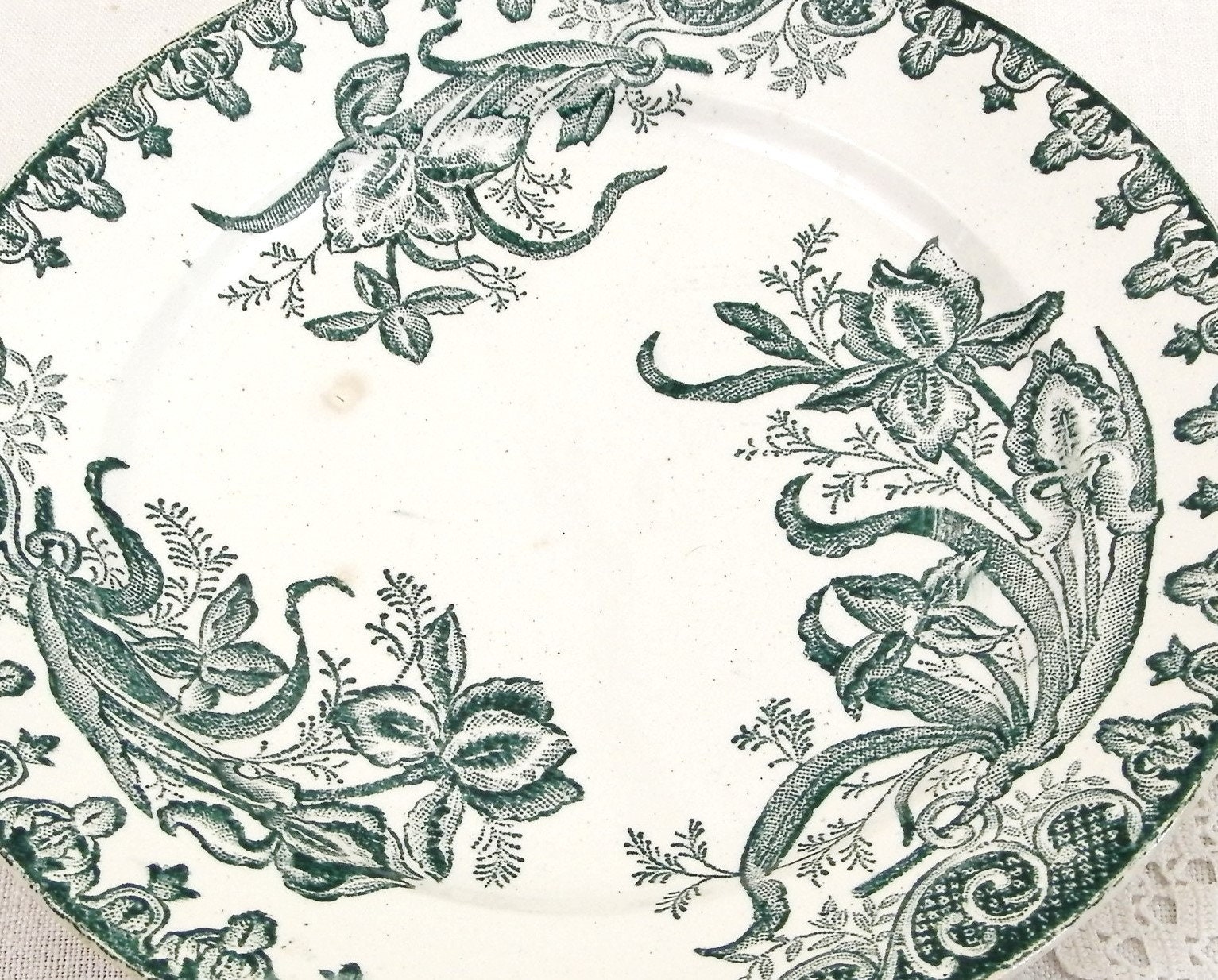 Small Antique Ironstone Ceramic Plate with Iris Flower Pattern by St ...