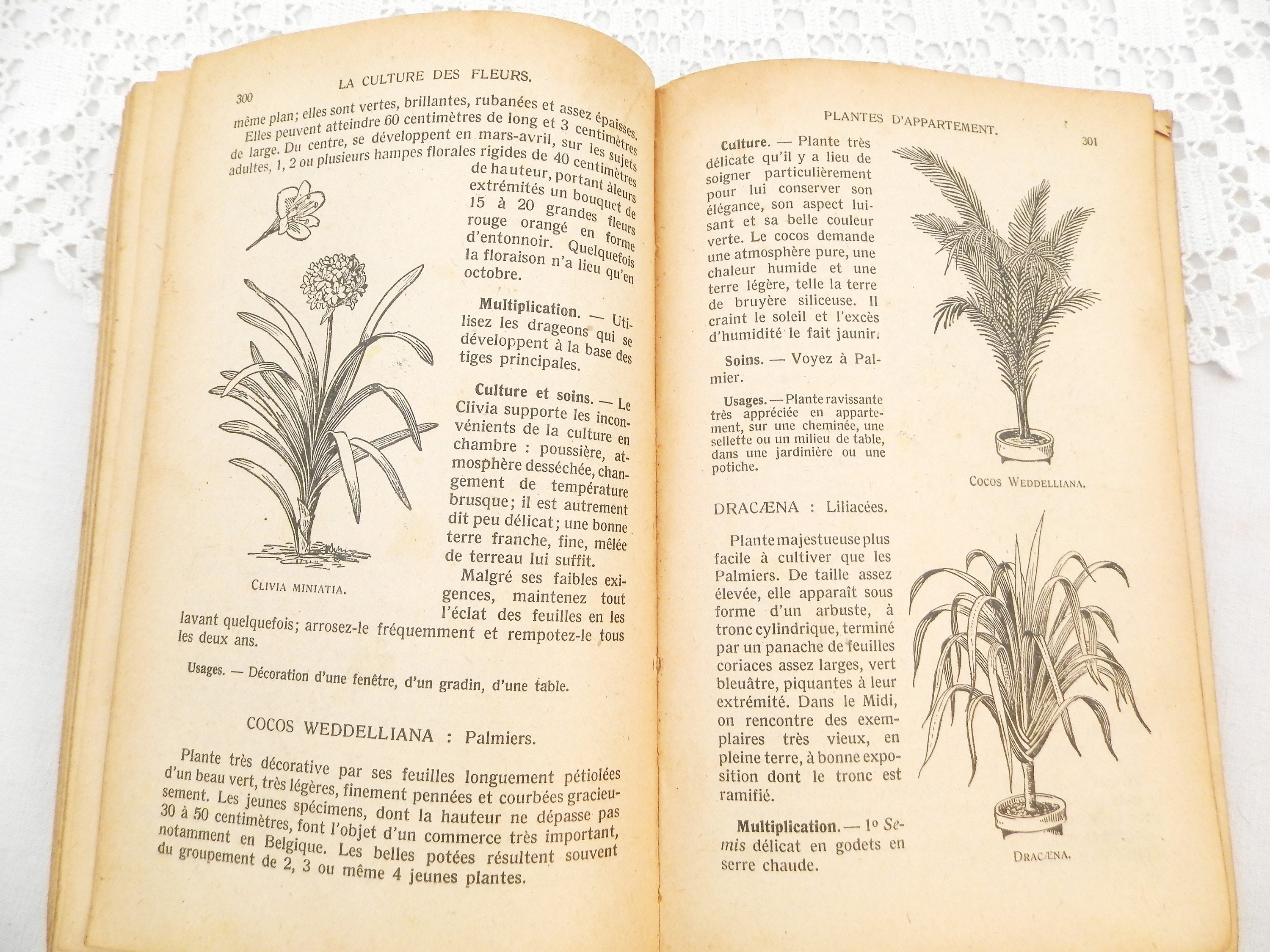Vintage 1932 French Flower Floriculture Book Published by Hachette ...