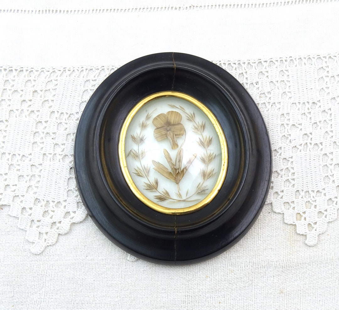 Small Antique French Victorian Mourning Hair Art Picture in Oval Frame ...