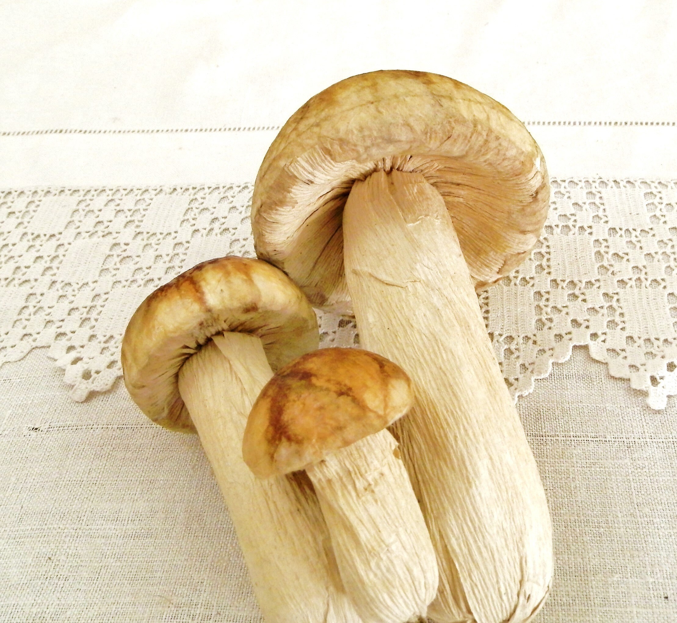 Vintage French Crepe Paper Penny Buns Mushrooms, Imitation Cep de ...