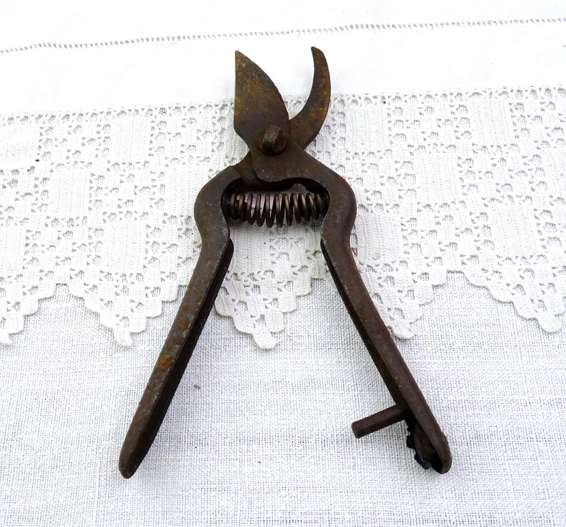 Antique French Iron Gardening Secateurs With Spring, Vintage Old Style ...