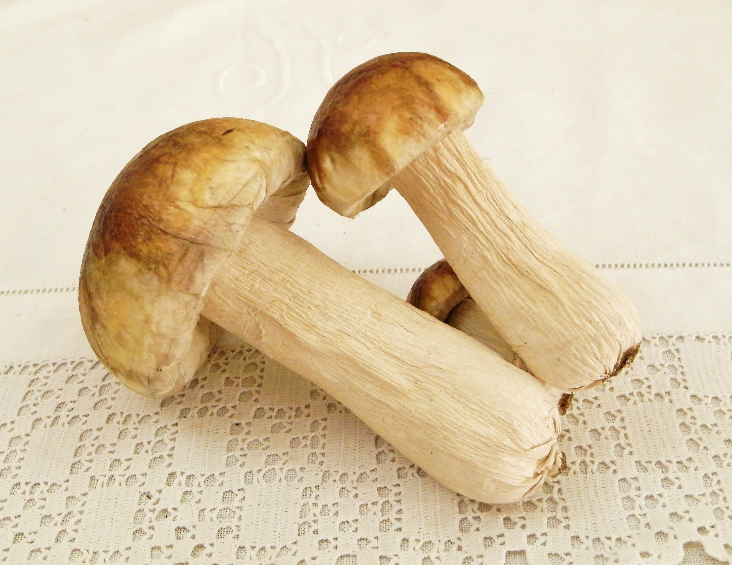 Vintage French Crepe Paper Penny Buns Mushrooms, Imitation Cep de ...