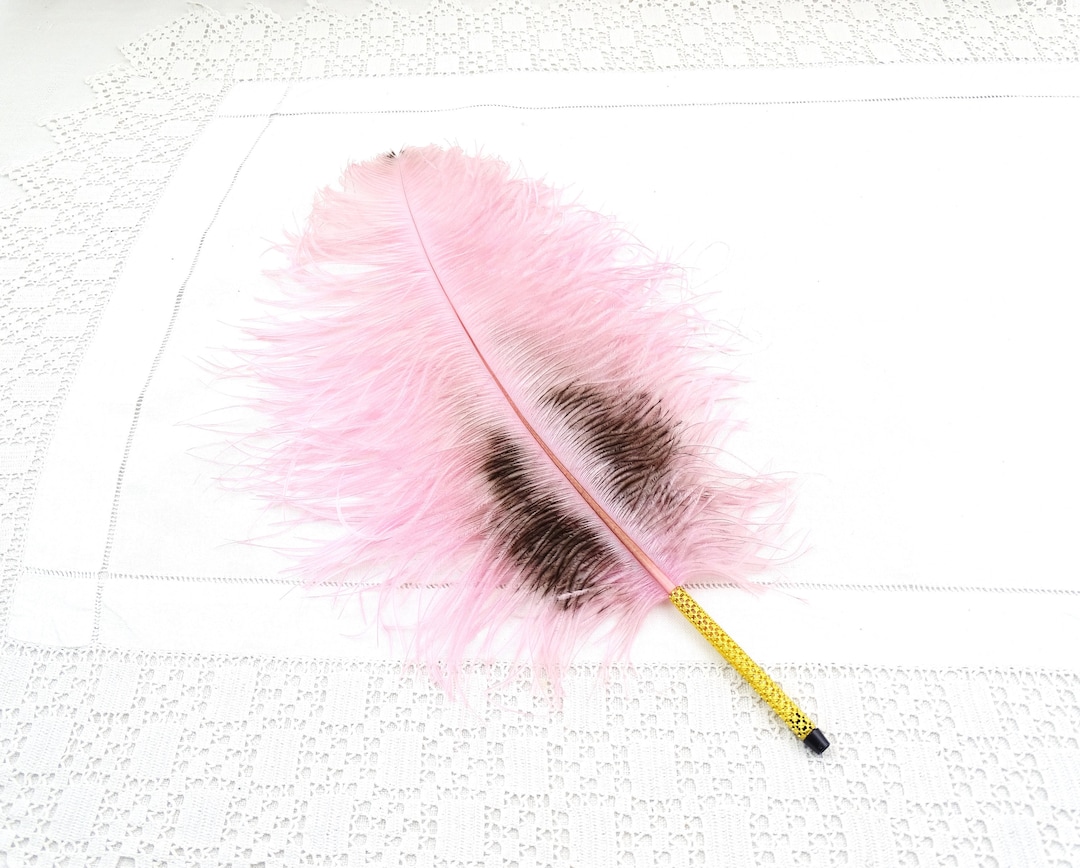 Large Vintage 1960s French Pink and Black Hair Feather by Creations D ...