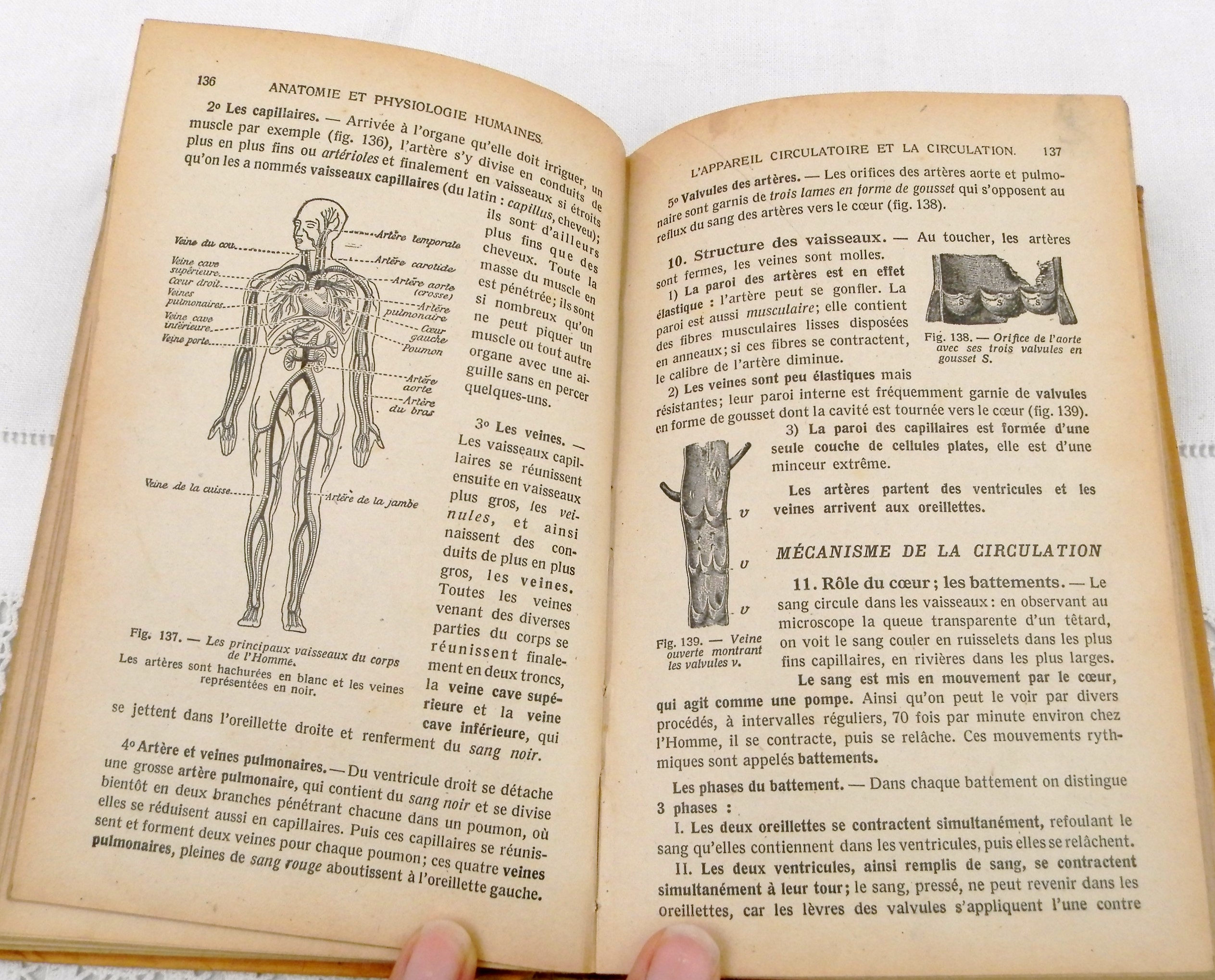 Vintage French School Biology / Natural Science Text Book with lots of ...