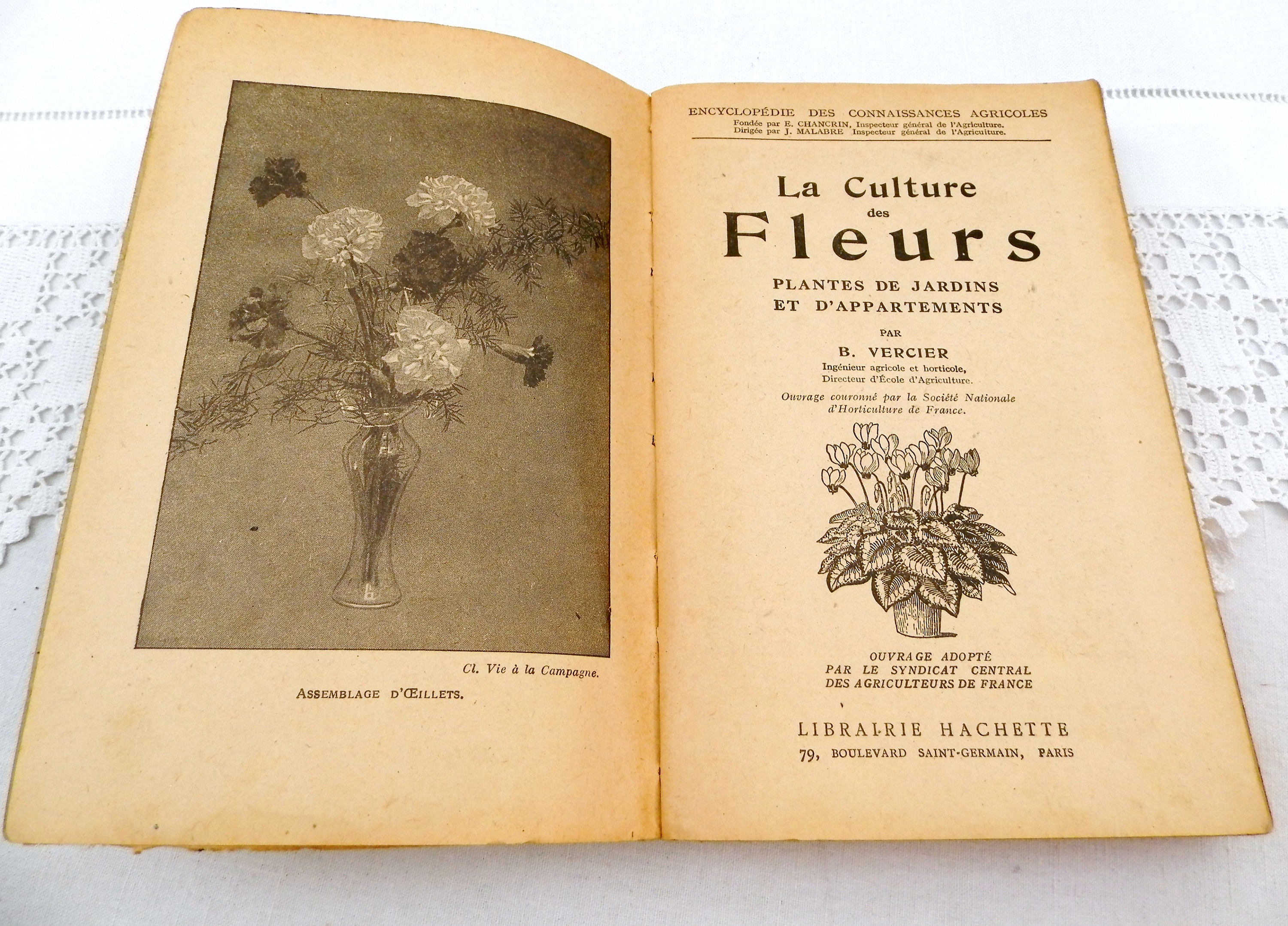Vintage 1932 French Flower Floriculture Book Published by Hachette ...