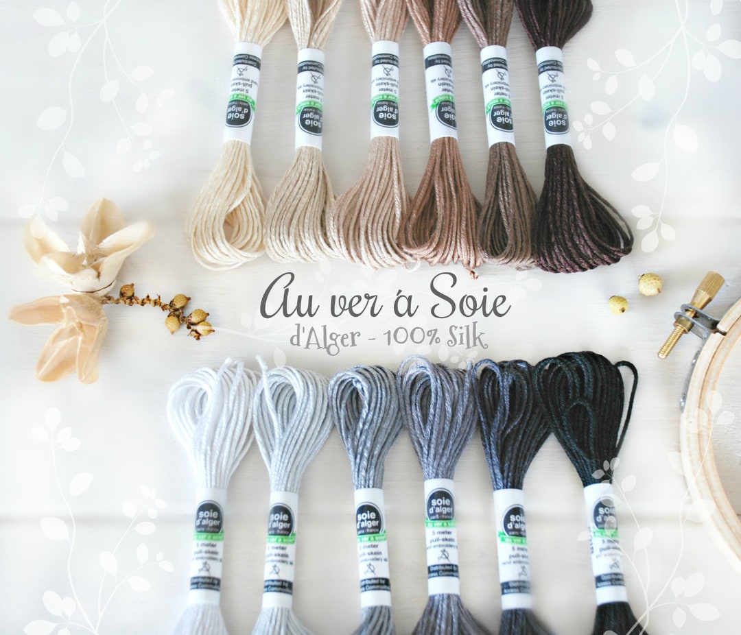 Au Ver a Soie Silk Thread: D'alger 100% Silk Embroidery Floss - Etsy