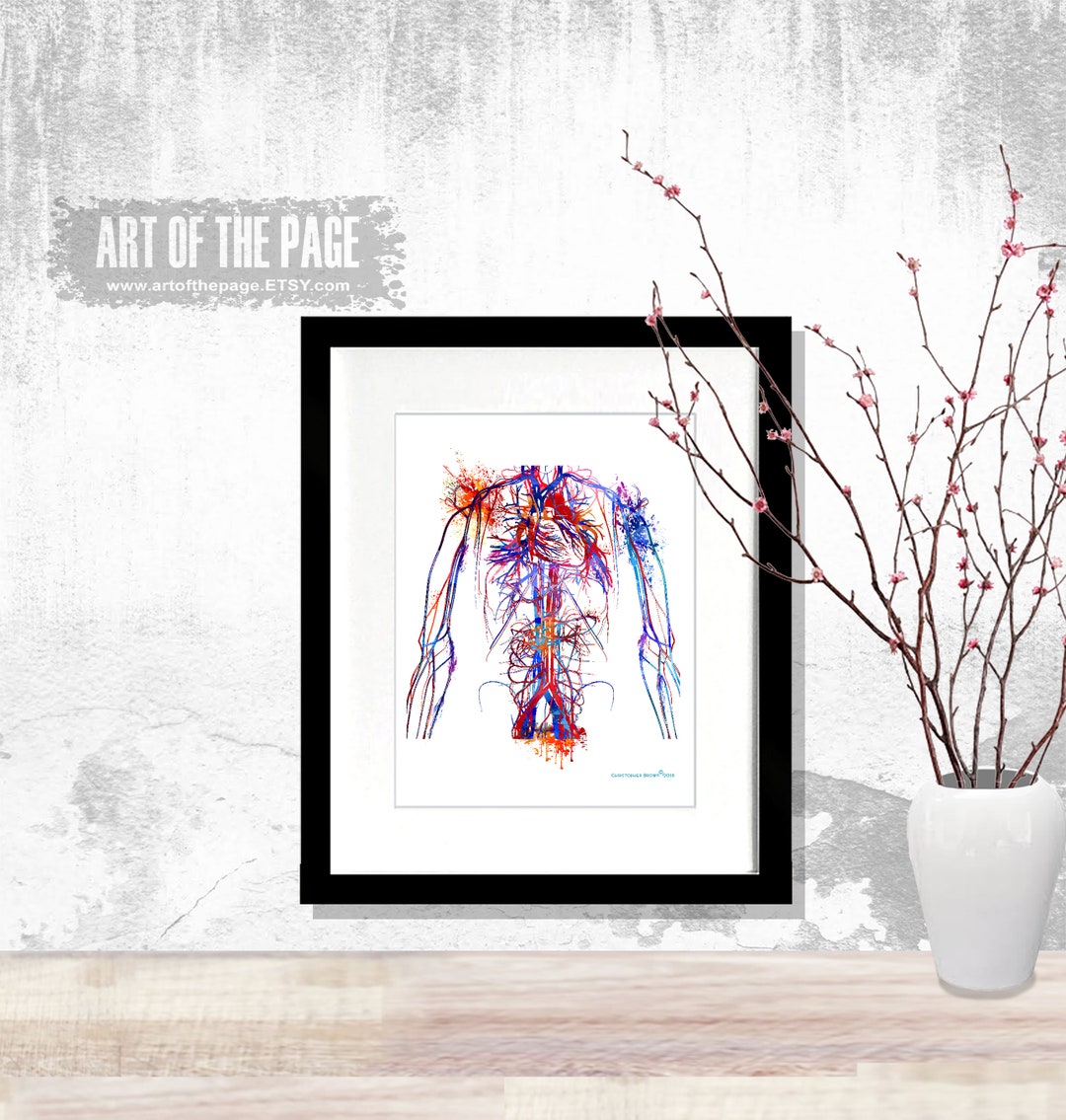 Anatomy Print,"watercolor Vascular System",8.5" X 11", Circulatory ...