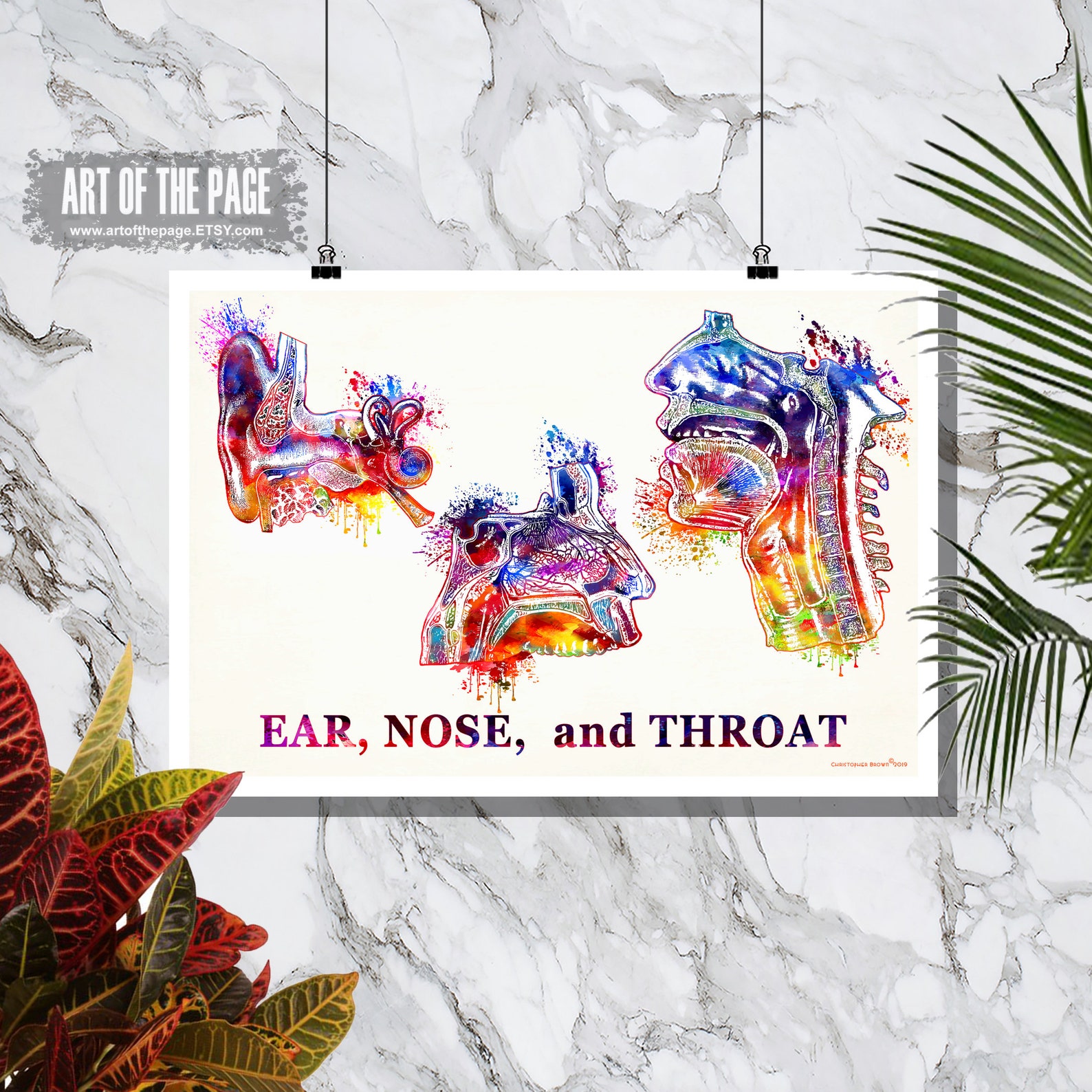 Anatomy Print watercolor Ear Nose and Throat - Etsy