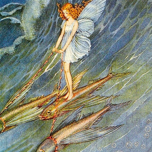 Sweet FAIRY Girl Rides Huge FISH Fairy Tale Vintage Digital - Etsy