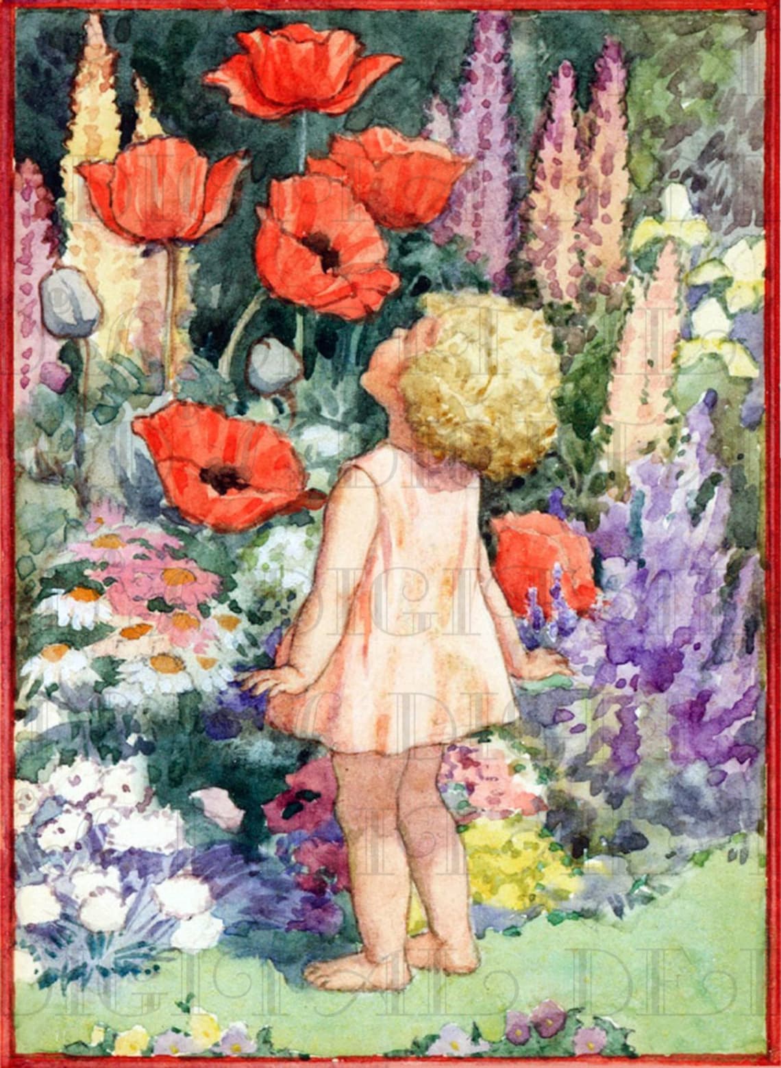Little Girl Stares up at Red Poppies in Garden VINTAGE - Etsy