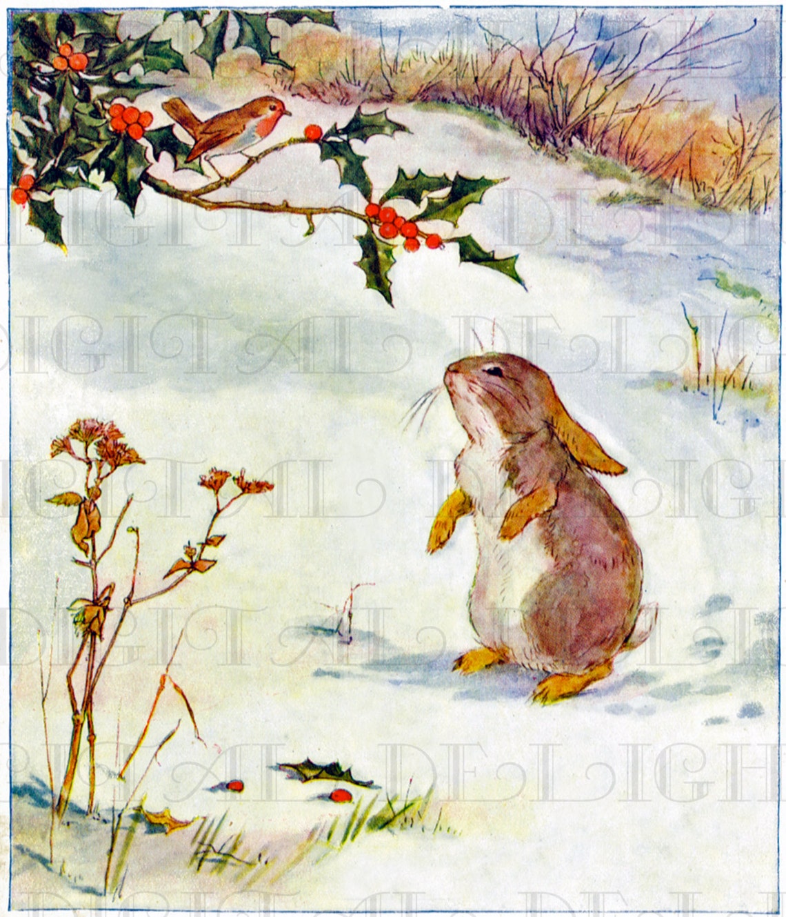 Adorable Bunny Rabbit and Robin Storybook Rabbit Vintage - Etsy