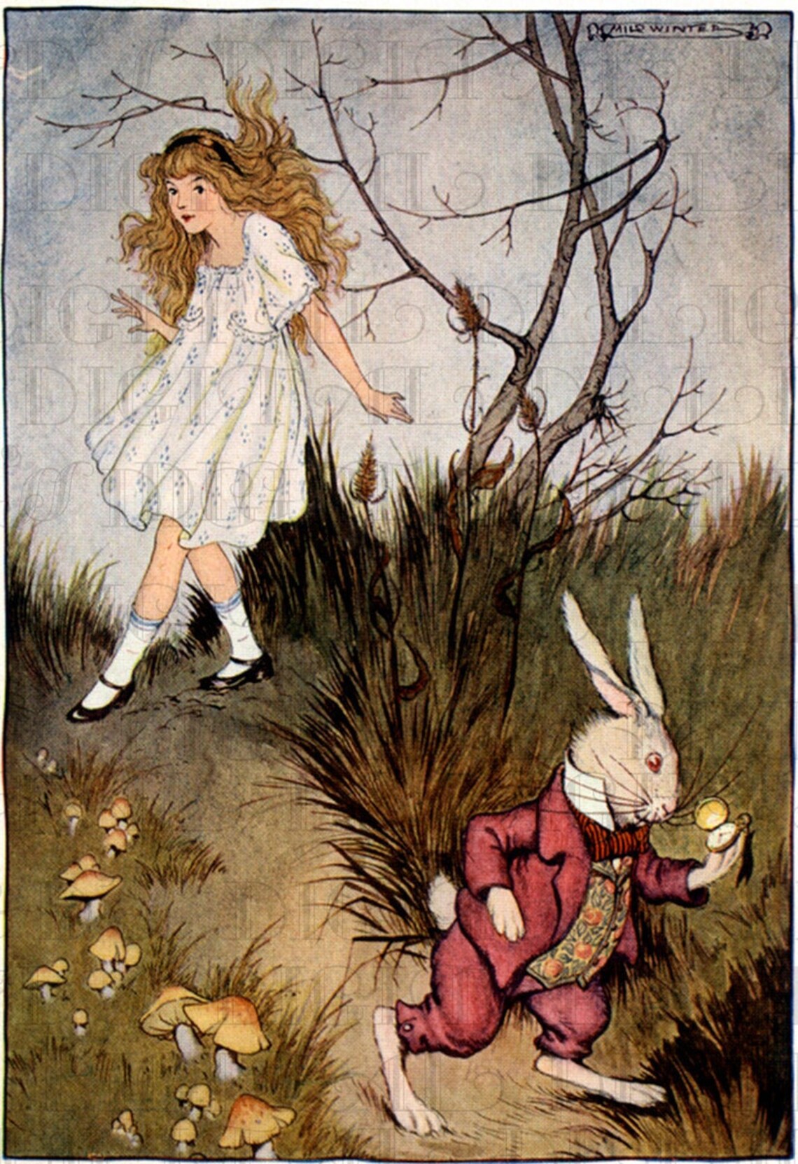 From FIRST Edition. Running White Rabbit. ALICE in Wonderland - Etsy