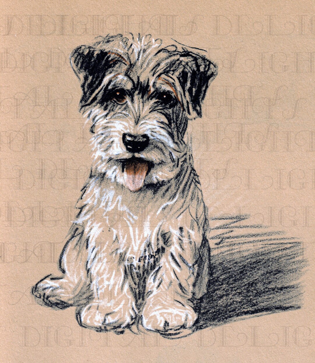 Adorable TERRIER Vintage Dog Illustration. Vintage Digital Dog Download ...