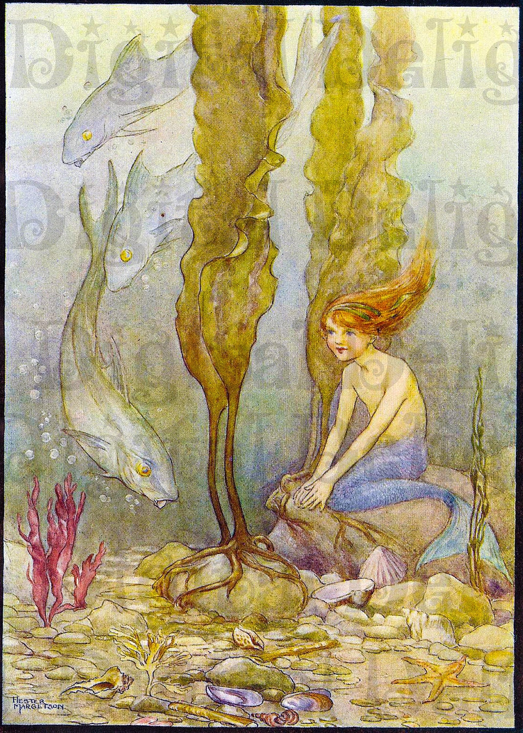 Sweet Child Little Mermaid Among the Fishes. Fairy Tale Vintage DIGITAL ...