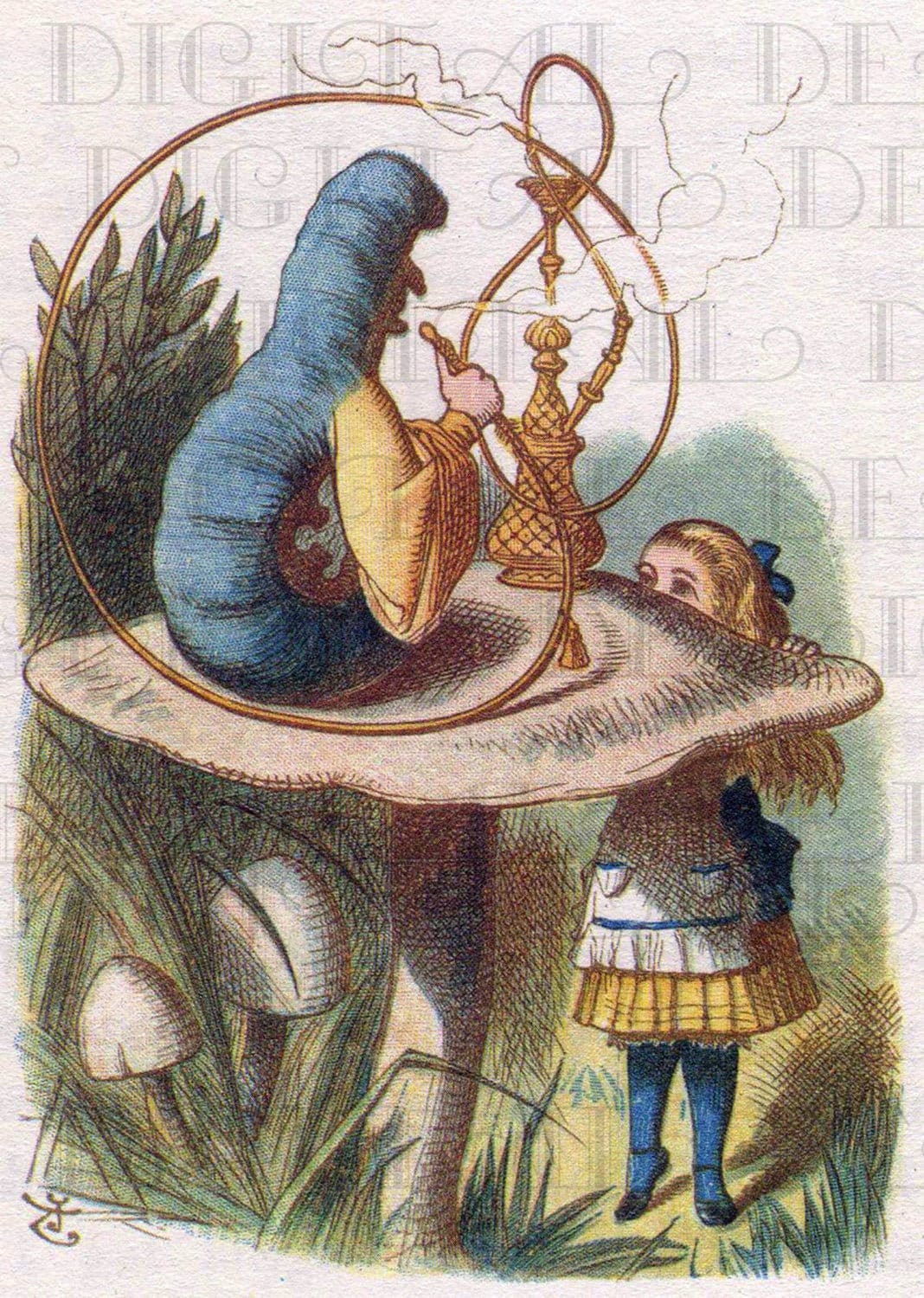 Alice In Wonderland Original Drawings Color
