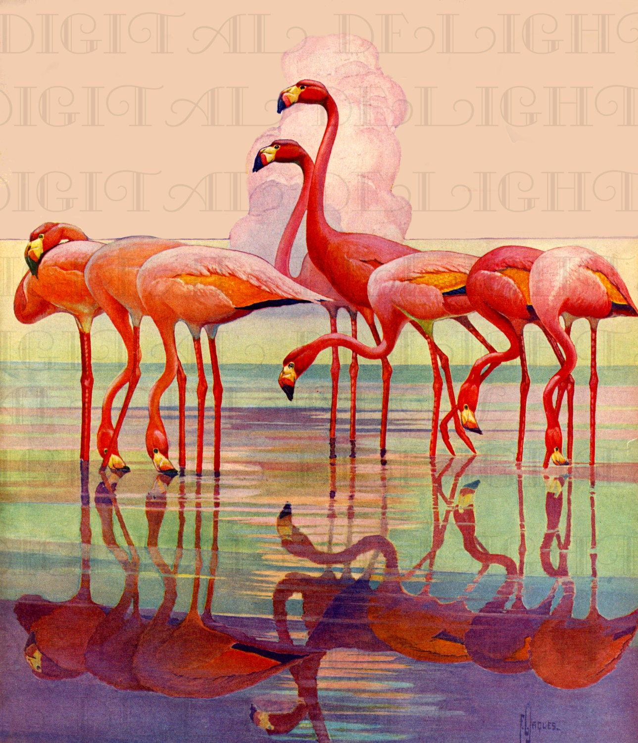 Spectacular FLAMINGO Vintage Art Deco Illustration. Vintage - Etsy UK