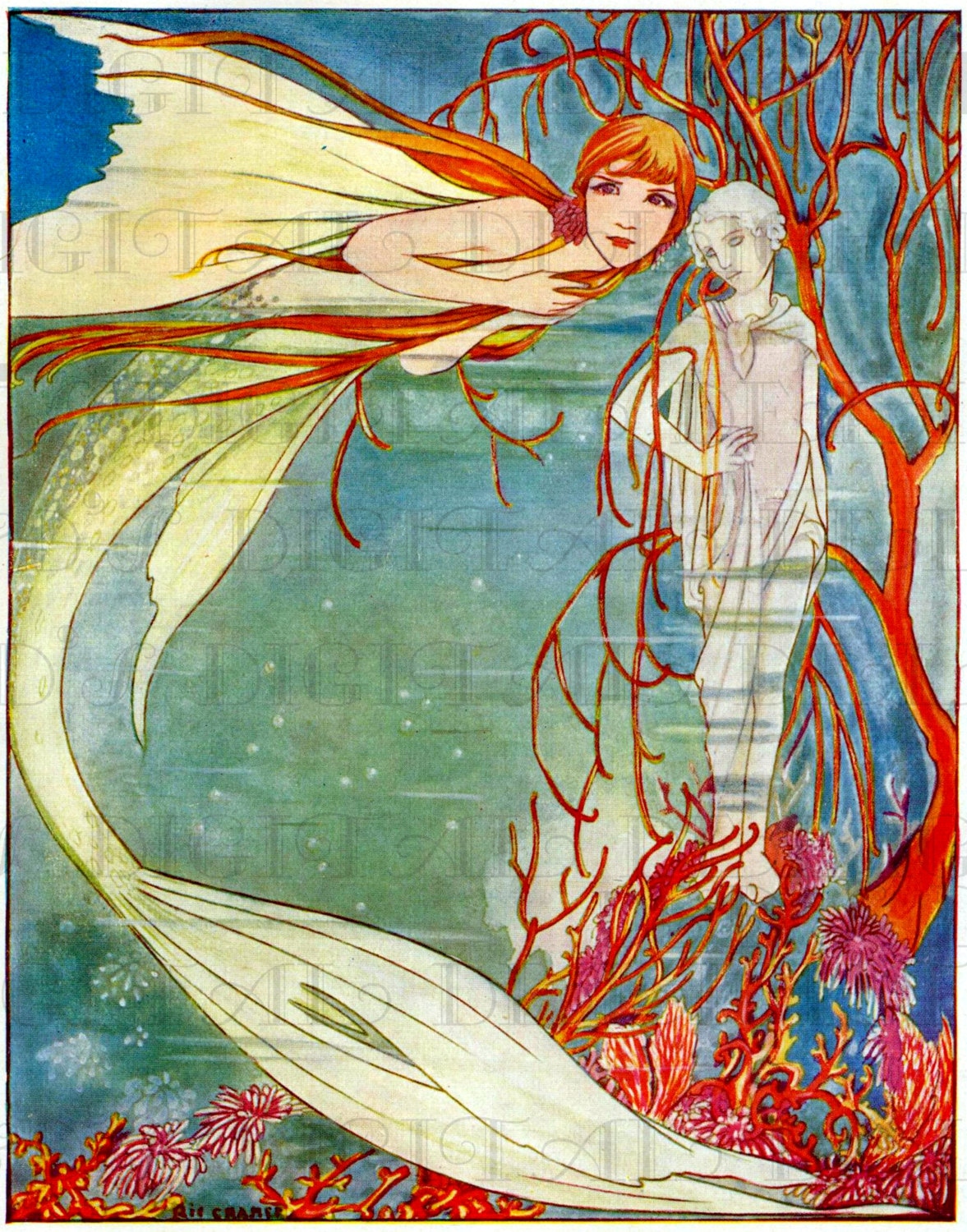 Real Mermaids And Fairies