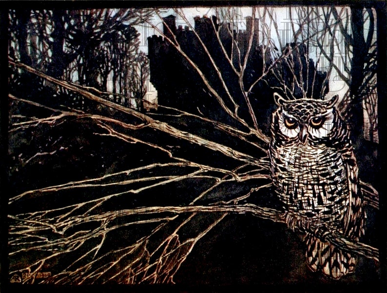 Rackham Eerie OWL in Tree. Vintage Halloween ILLUSTRATION. - Etsy