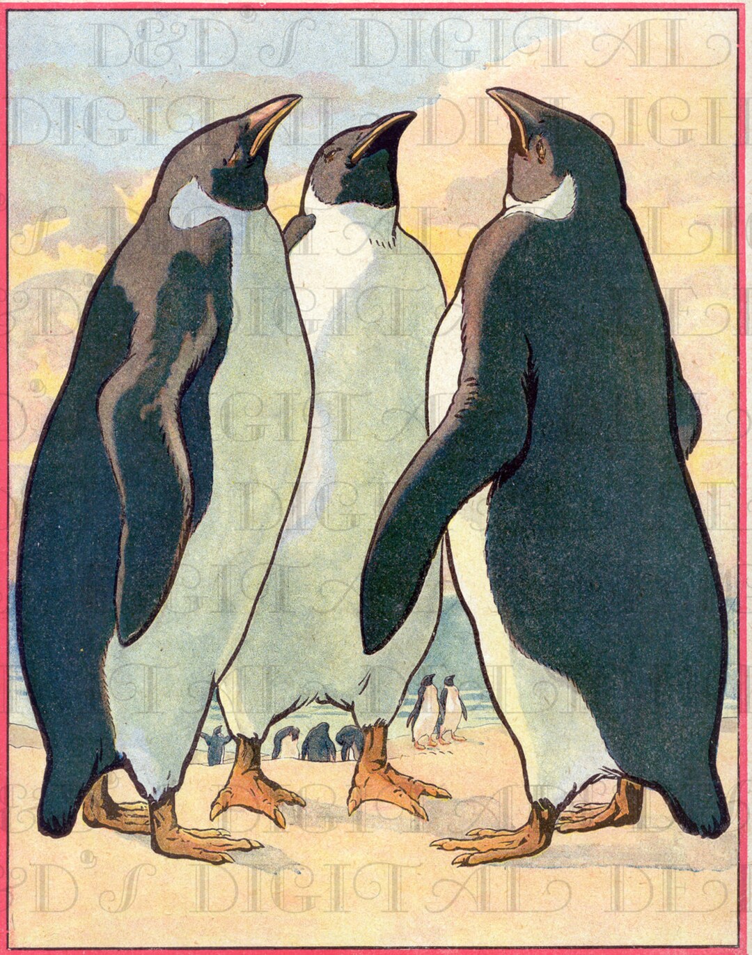 Pretty Penguins! Vintage Digital Penguin Illustration. Digital Penguin ...