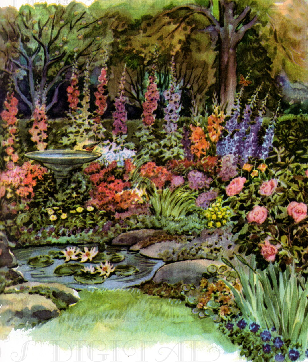 Fantastic GARDEN in Spring! Vintage Garden Illustration! Vintage ...