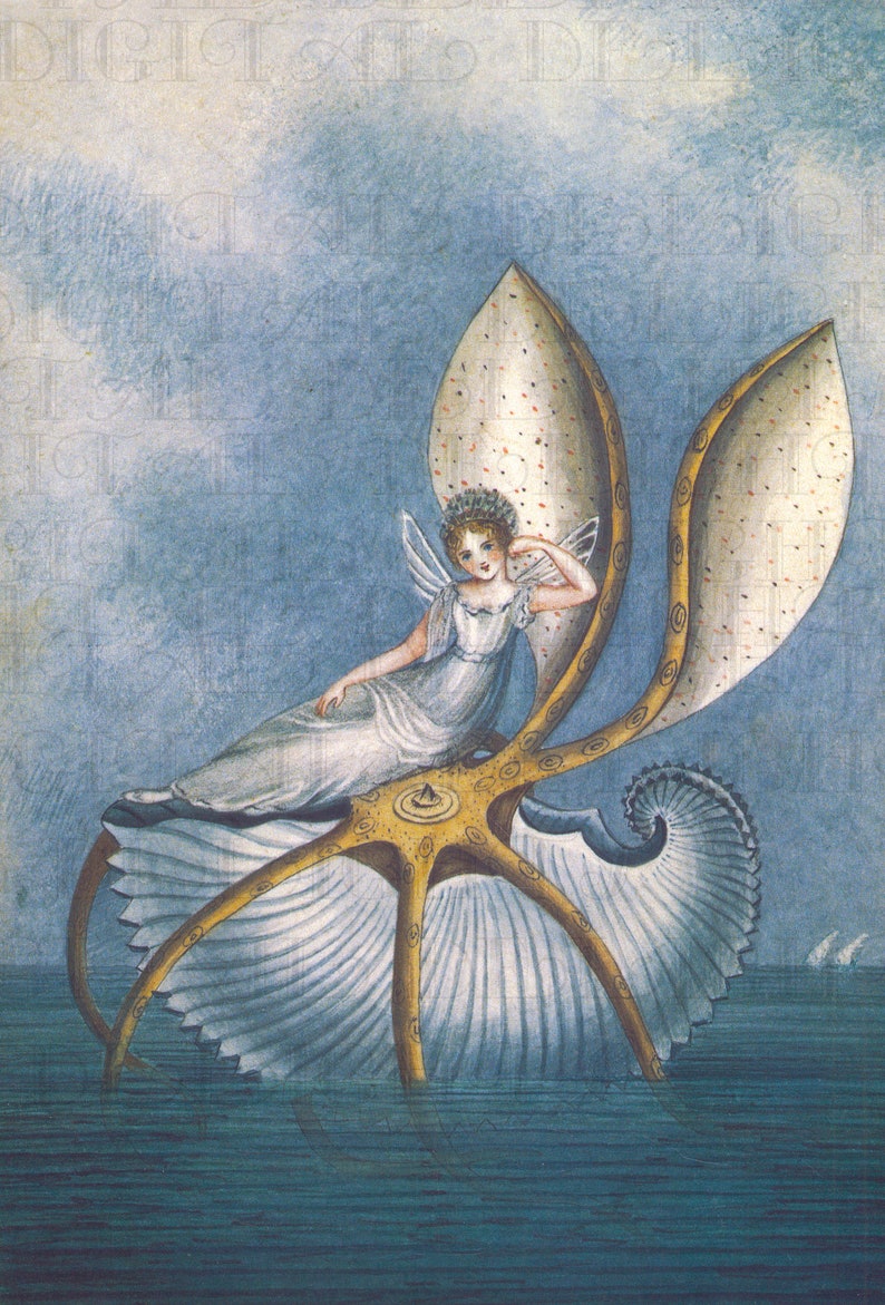 DELIGHFUL Little Fairy Rides on Sea Shell Fairy Vintage - Etsy