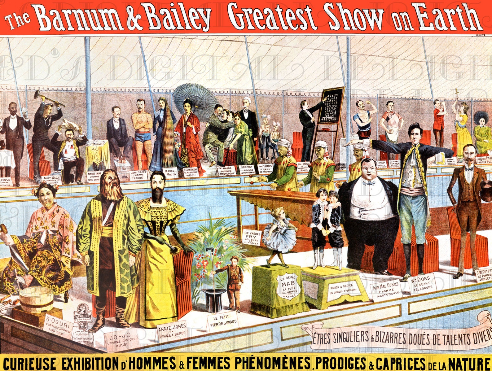 Spectacular Antique SIDESHOW Circus Poster Freak (Download Now) - Etsy