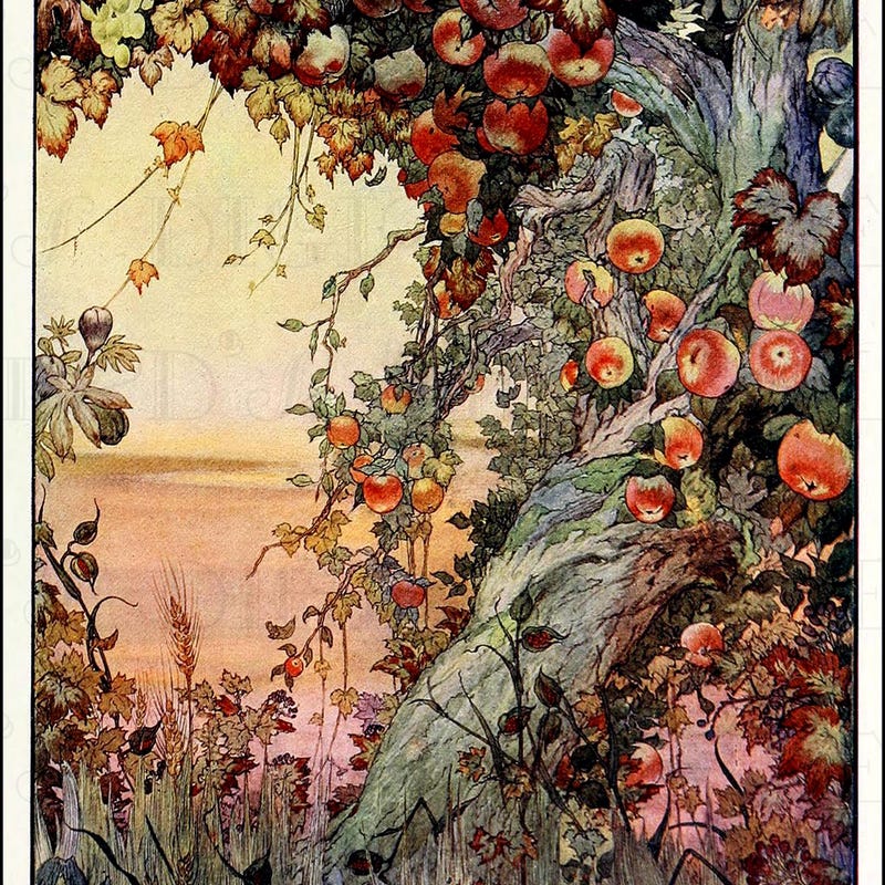 1920s Nature Print - Etsy