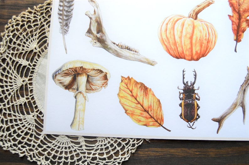 Fall Foraging Fine Art Print 8 X 10 Colored Pencil Drawing - Etsy
